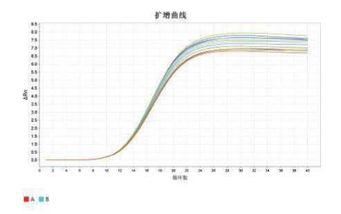 2x8 Wells RT QPCR Machine 12 Volt 10A MINI PCR Machine