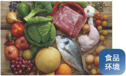 2x8 Wells RT QPCR Machine 12 Volt 10A MINI PCR Machine