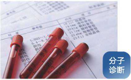 2x8 Wells RT QPCR Machine 12 Volt 10A MINI PCR Machine