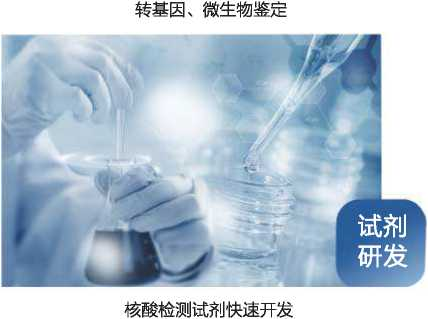 2x8 Wells RT QPCR Machine 12 Volt 10A MINI PCR Machine