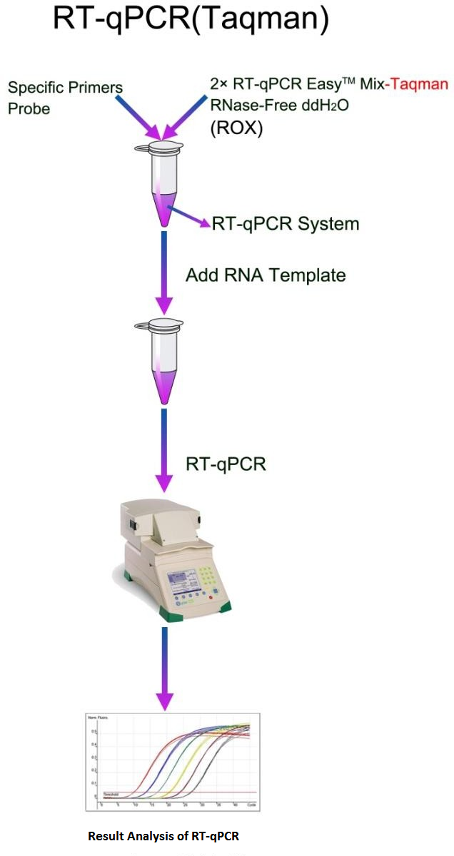 Laboratory 99.9% One Step RT PCR Taqman RT QPCR Kit RT-02132