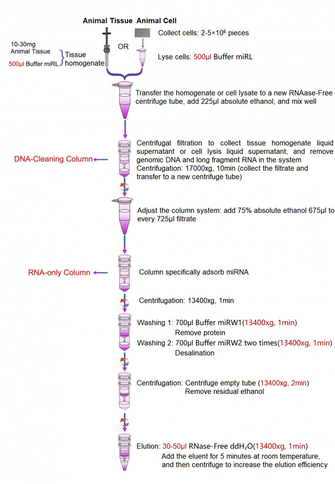 Spin Column Animal MiRNA Isolation Kits RE-0101T For Laboratory ...