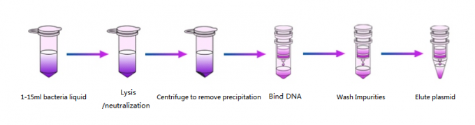General Plasmid Mini DNA Isolation Kit Purification Column Plasmid DNA ...