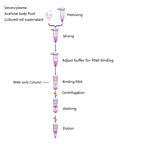 High RNA Yield Serum Plasma RNA Isolation Kits For RNA Extraction ...