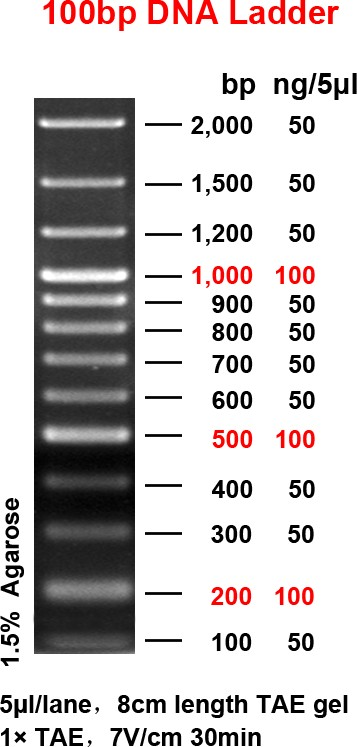 DNA Marker 700 500 μL Packing 50-700bp DNA Ladder Kits