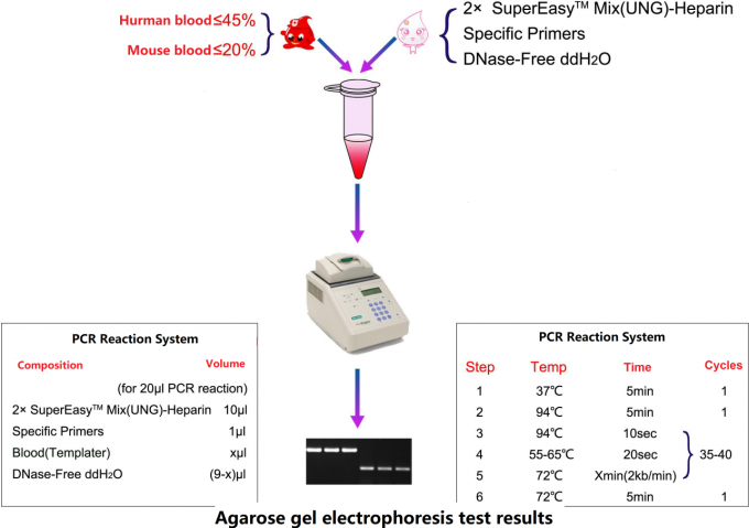 Blood Super Direct PCR Kits UNG Use Whole Blood Anticoagulated With EDTA 50T