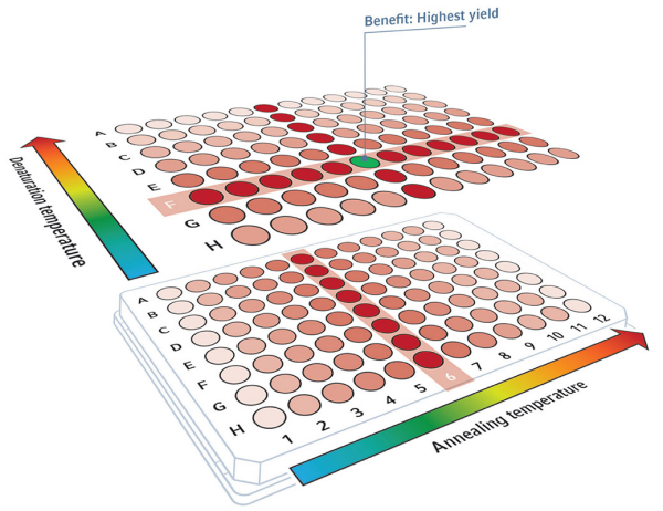 Foregene PCR Machines Multi Block Thermal Cycler 96 Well