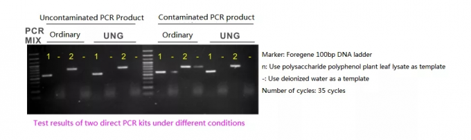 Higher Specificity PCR System Zebra Fish Direct PCR Kits For Direct PCR ...