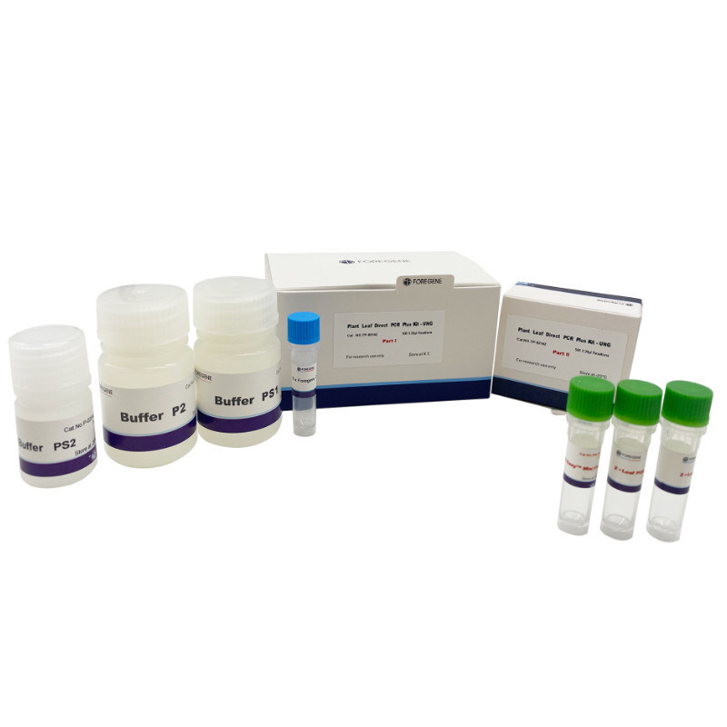 6x DNA Loading Buffer Plant Leaf Plus Direct PCR Kits With UNG