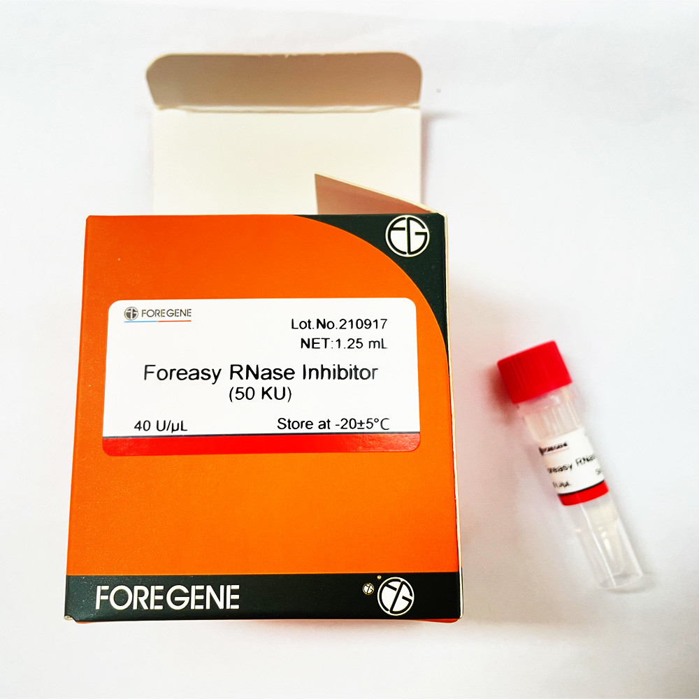 RNA Protection Foreasy RNase Inhibitor For Reverse Transcription System ...