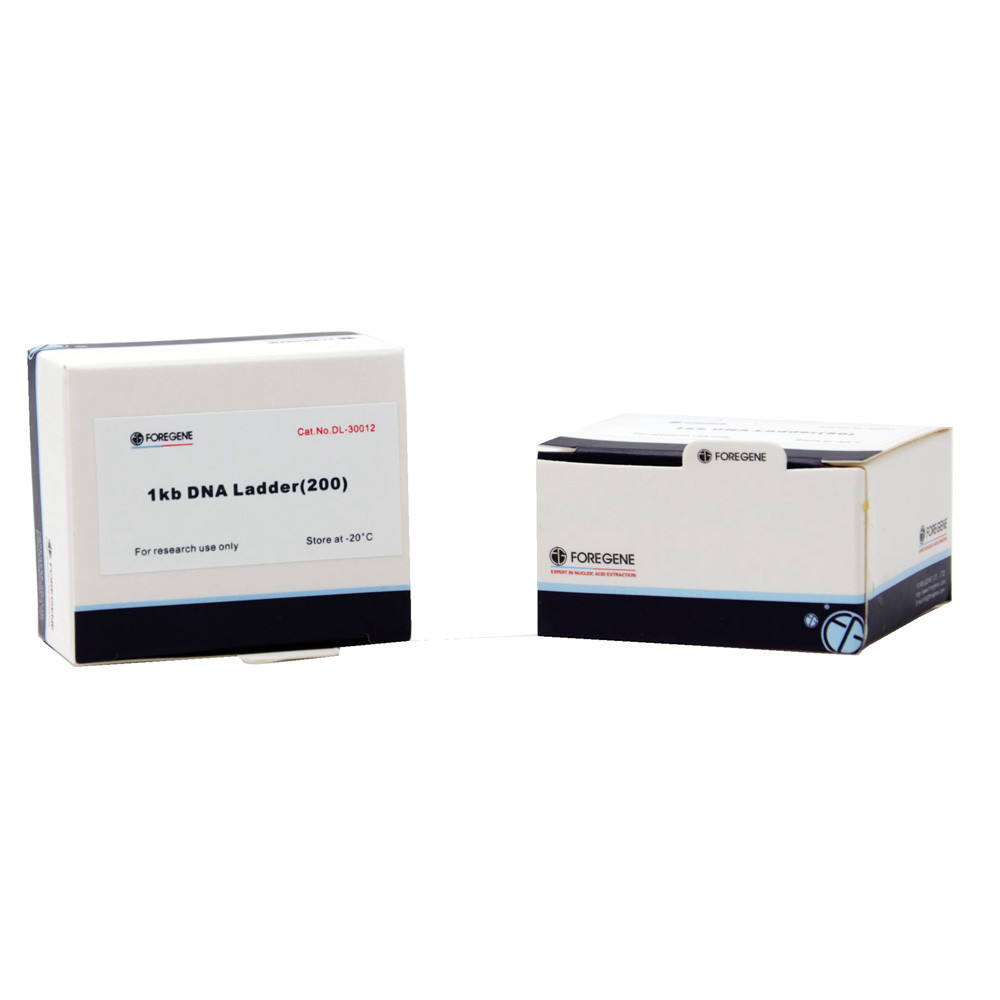 DNA Marker 2000 100 Tests 500 μL Packing 100bp-2000bp For Electrophoresis