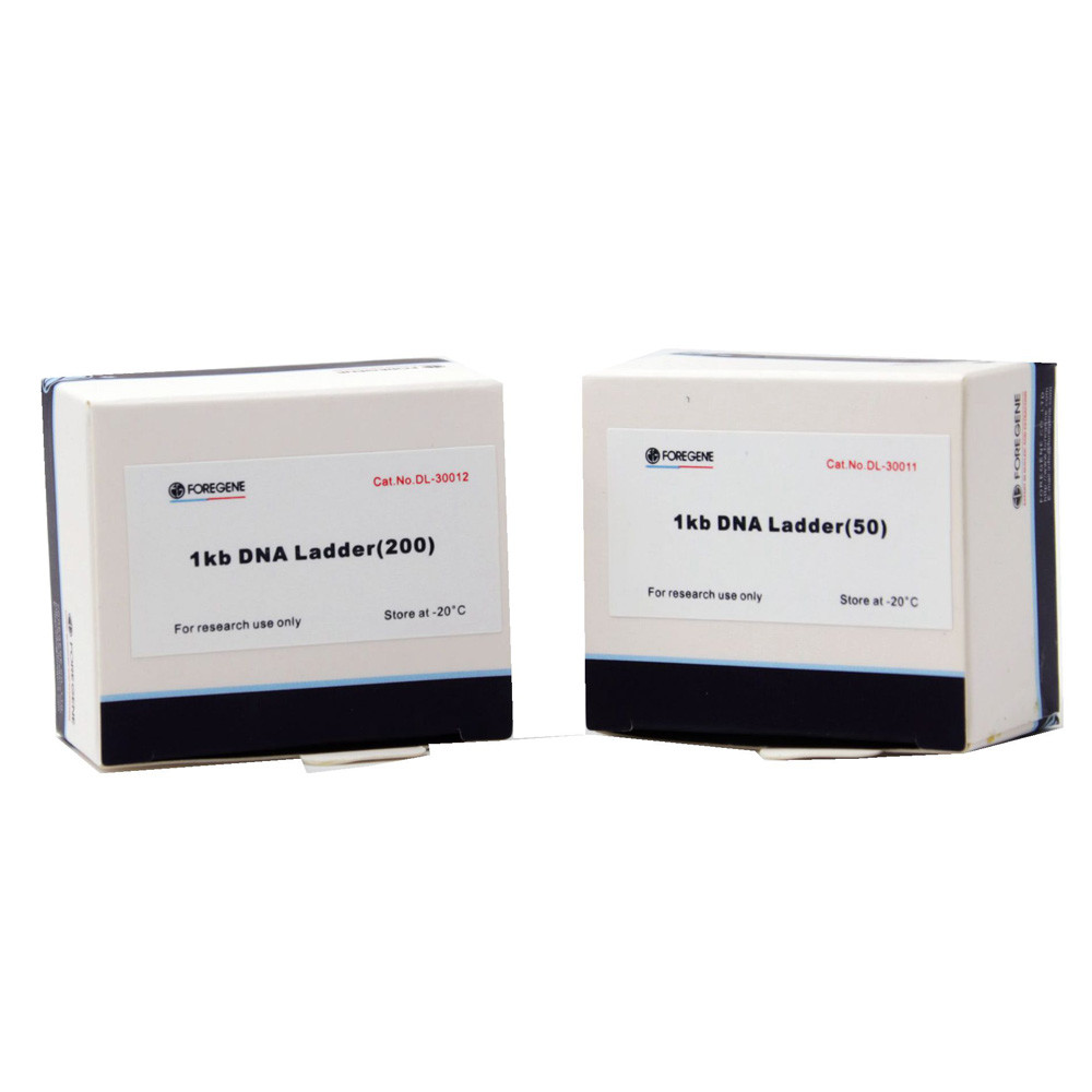 Foregene DNA Marker 5000 400 Tests 500x4 μL Packing 100bp-5000bp DNA Marker