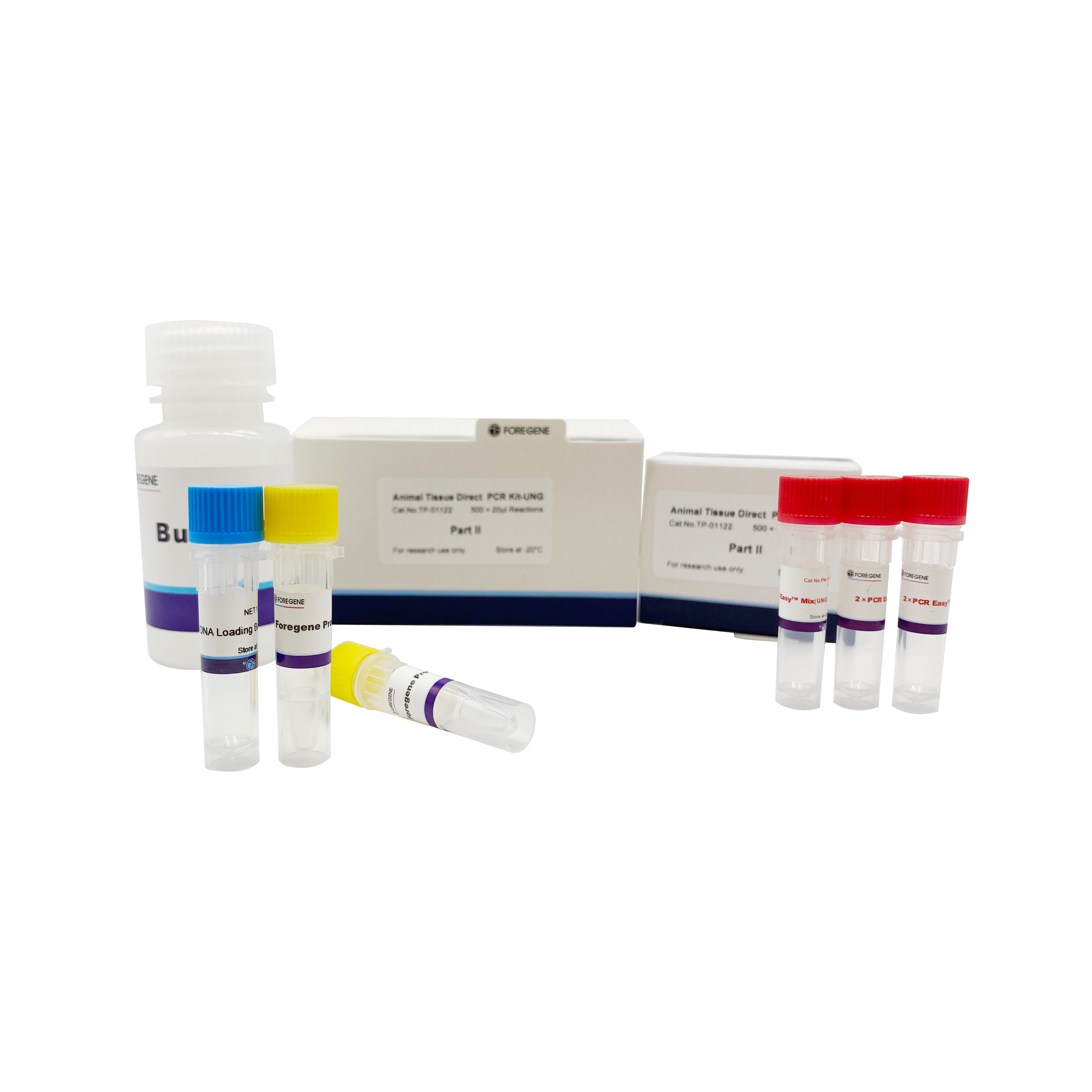 Lab Reagent Animal Tissue Direct PCR Kits Performing PCR Directly From ...