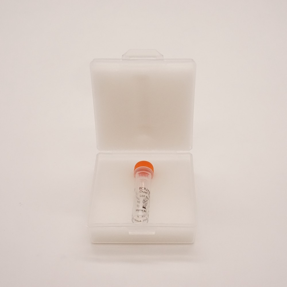 Fluorescence In Situ Hybridization Reagent BCR ABL1 Dual Color Dual ...