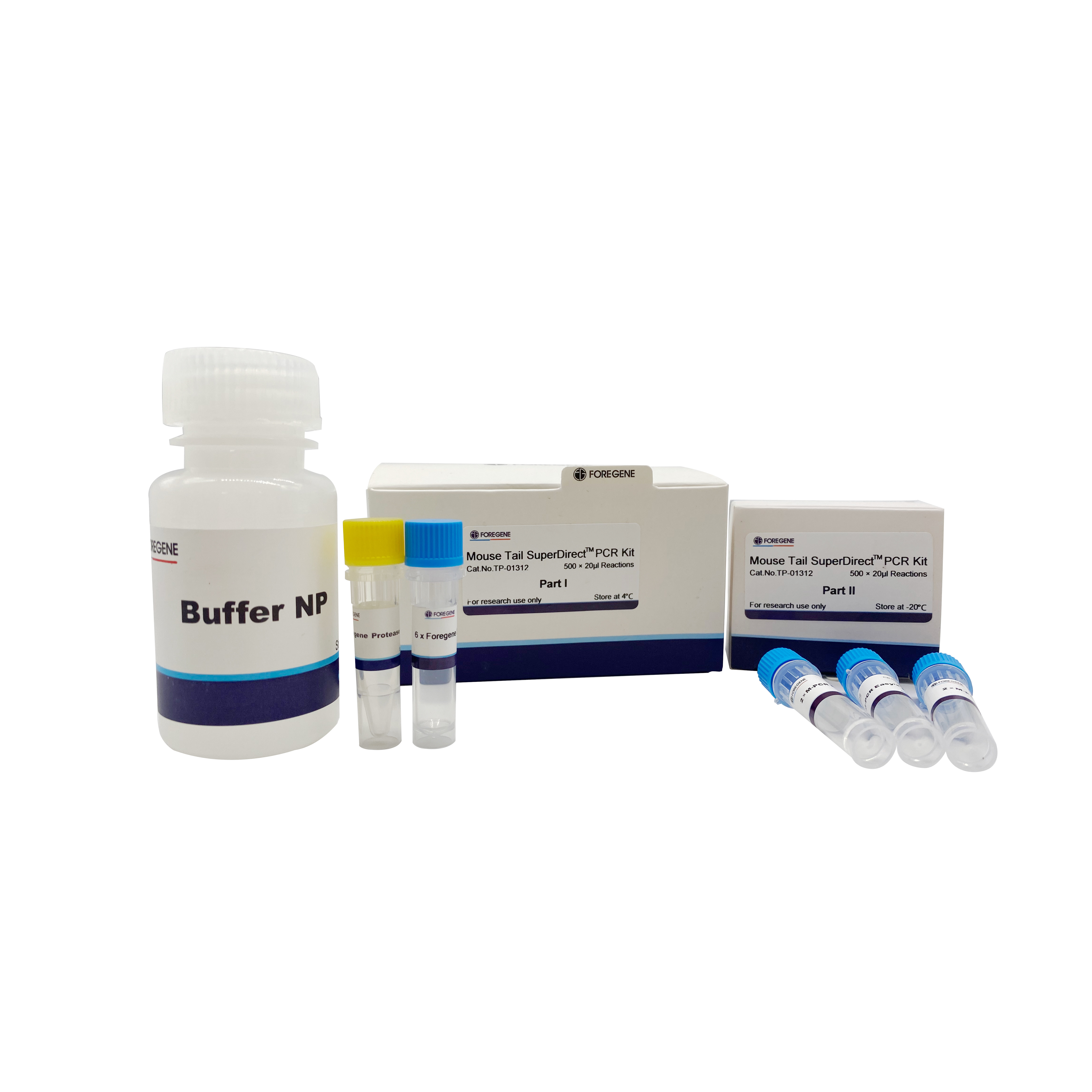 Buffer NP Super Direct PCR Kit Mouse Tail Direct Kit PCR-UNG TP-01311 ...